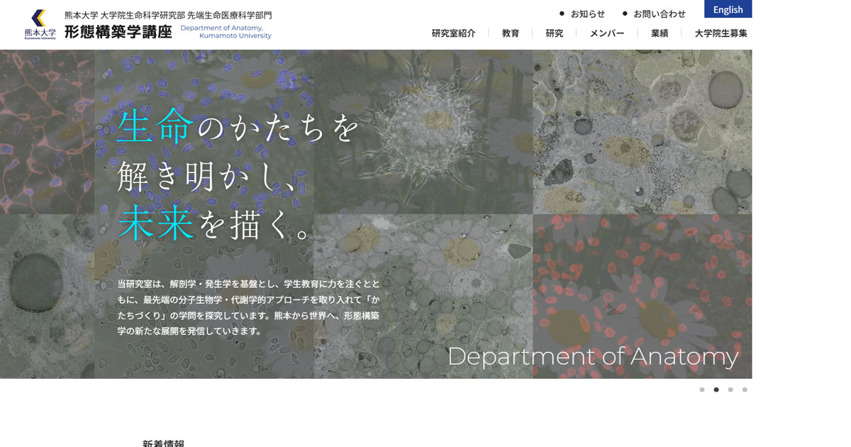 Yuta Miyamoto | Department of Anatomy